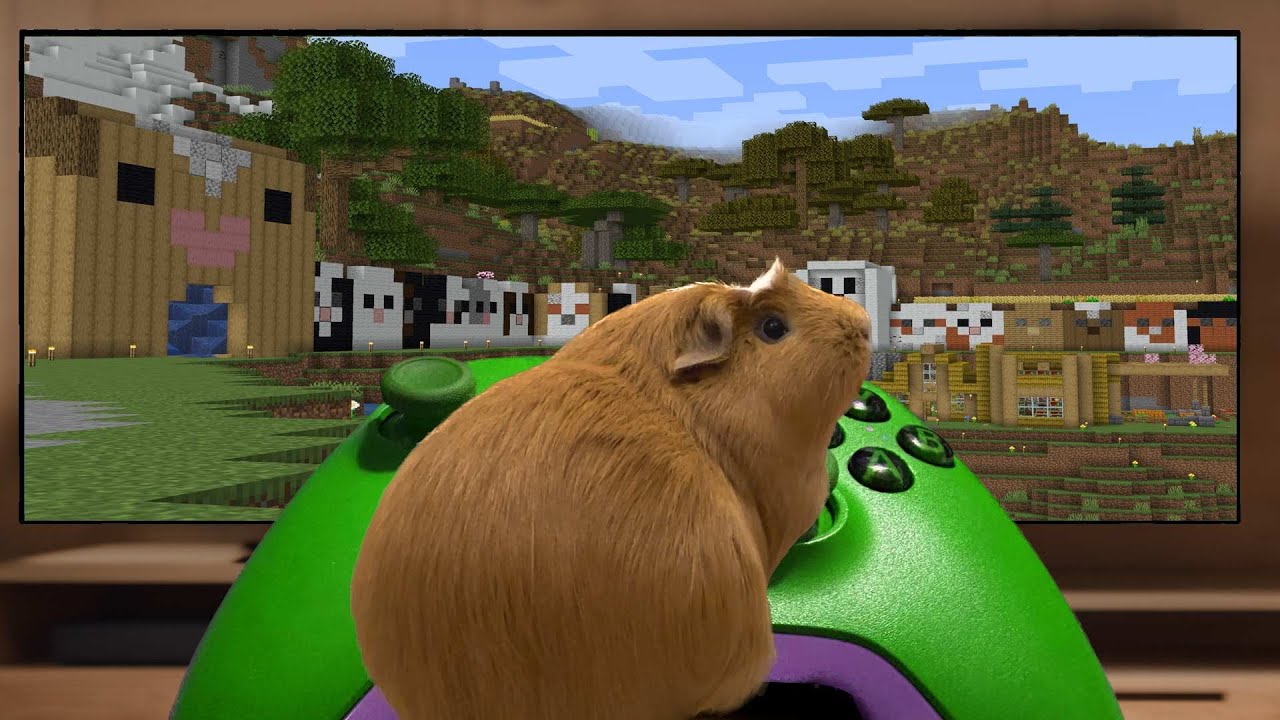 Minecraft with the guinea pigs - YouTube