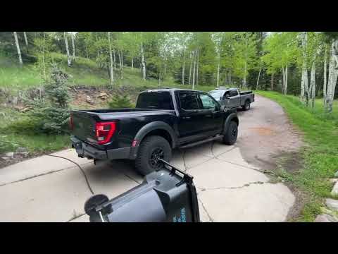 Bear locks itself in pickup truck after smelling dog food