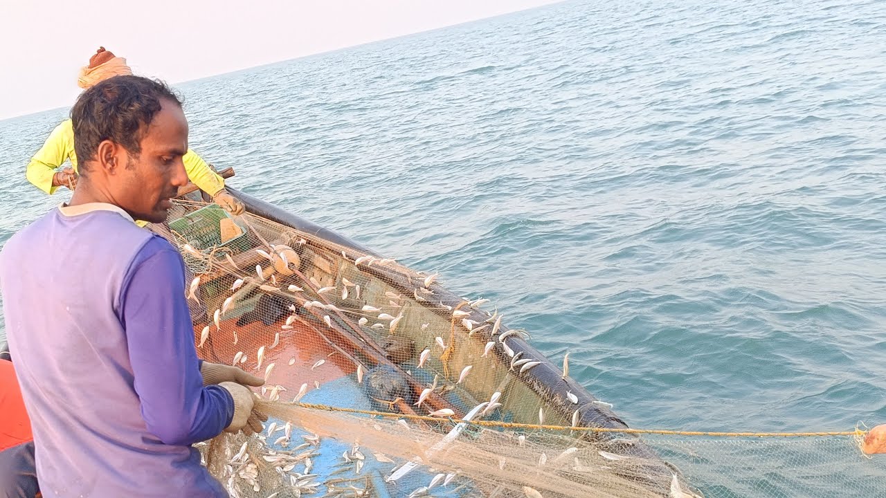 Odisha Sea Fishing Video And Fish Catching - YouTube