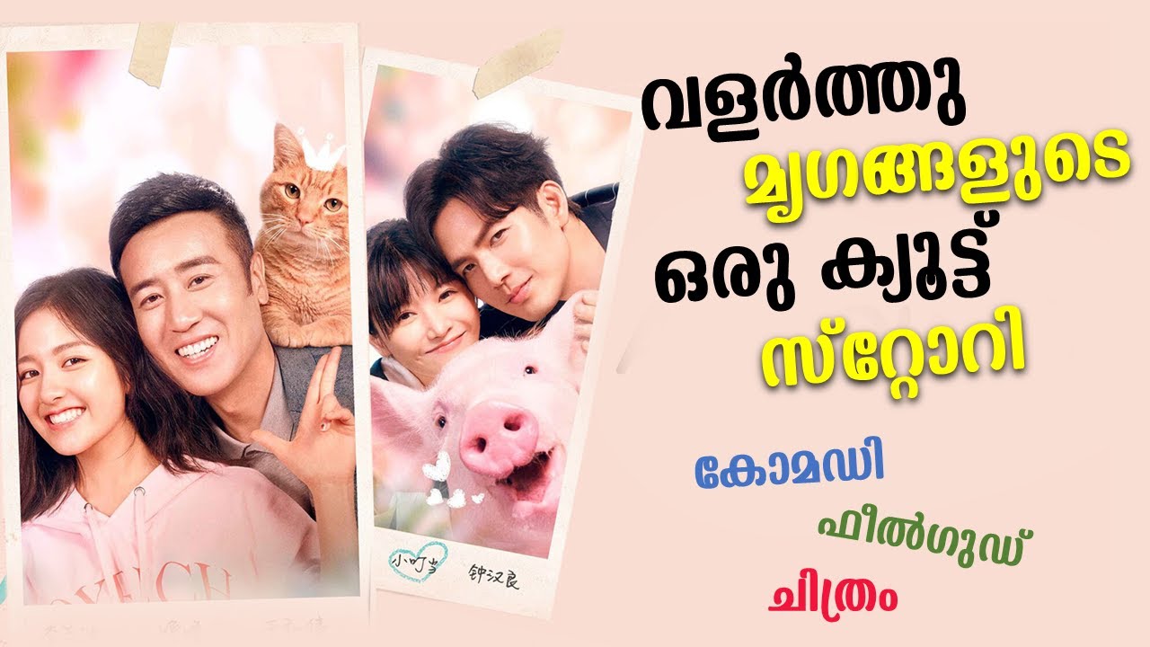 Adoring 2019 Movie Explained in Malayalam | Part 2 | Movie explained ...