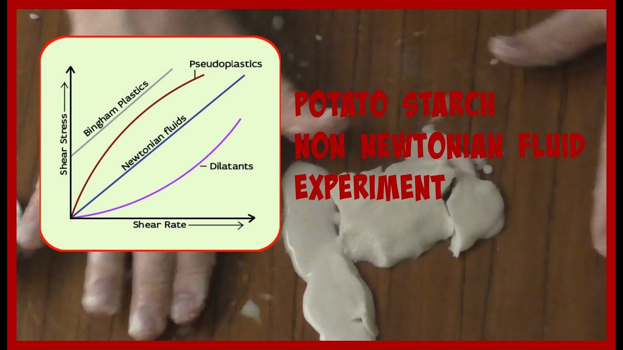 Potato starch non newtonian fluid experiment - YouTube