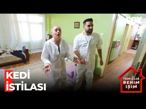 Kadir Evde Yine Bir Kedi Vakasıyla Karşılaştı - Temizlik Benim İşim 244. Bölüm
