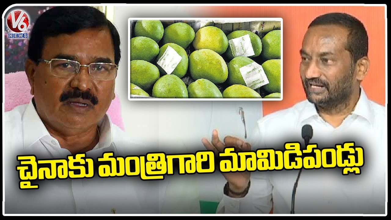 Raghunandan Rao On Export Of Mangoes From Niranjan Reddy Farm House To ...