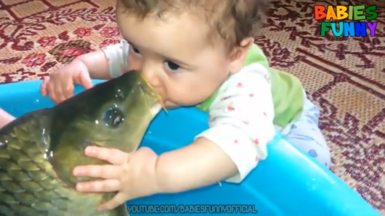 Funny Babies Reaction When Baby Meet Fish For The First Time! Hilarious ...