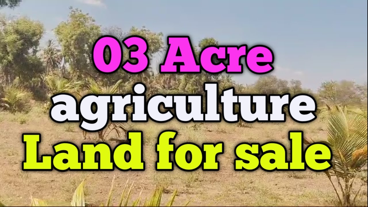 3 Acre agriculture land for sale near chamrajnagar Your properties ...