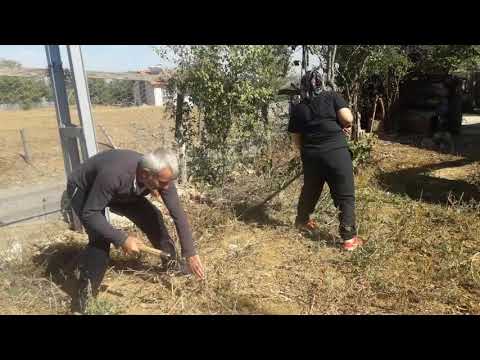KÖY İŞLERİ BAHÇE TEMİZLİK VE BAKIM İŞLERİ 1.BÖLÜM