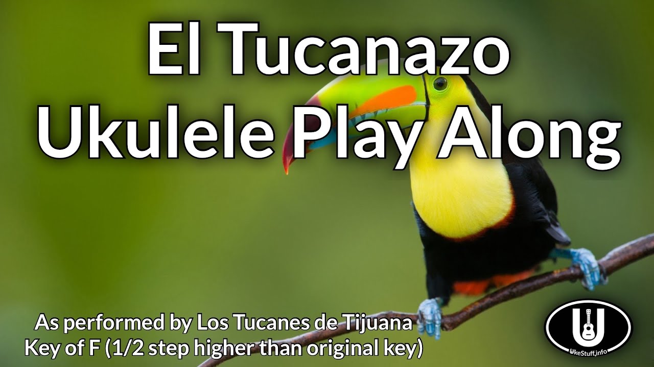 El Tucanazo Ukulele Play Along - YouTube