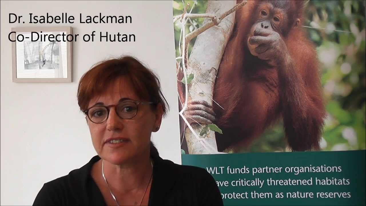 Dr Isabelle Lackman tells us about Ecotourism - YouTube