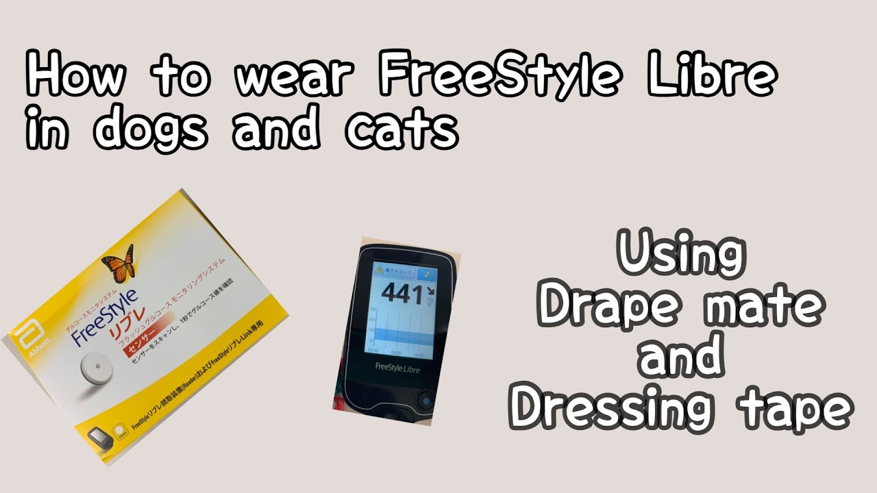 How to wear Freestyle Libre in dogs and cats part 2 (using drape mate ...