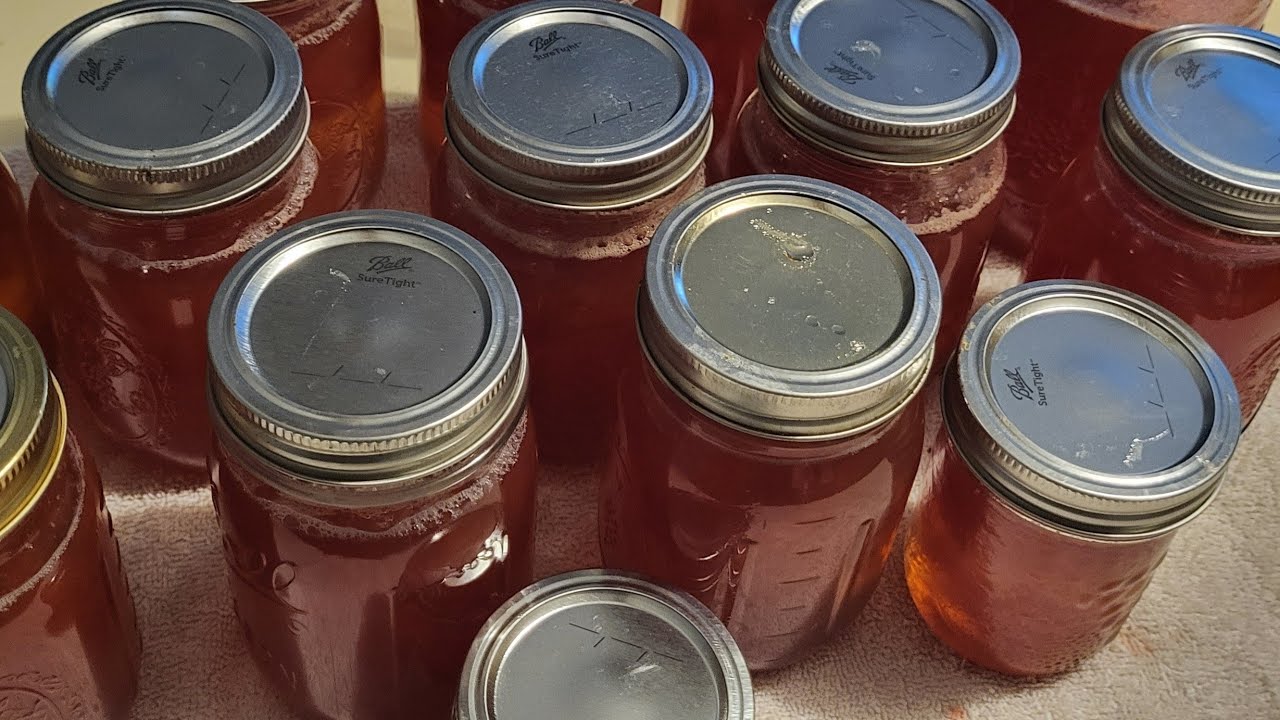 Appalachian Heritage! Autumn Olive Jelly. 2024 - YouTube
