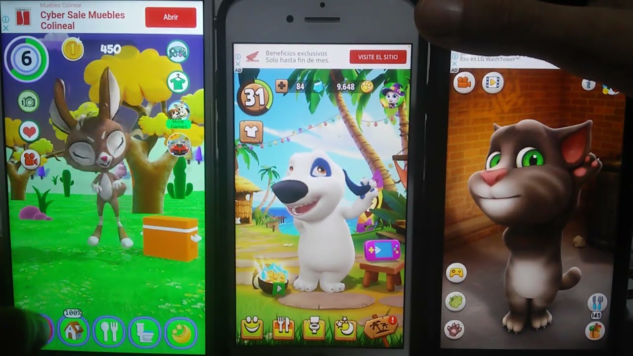 Talking Hare Echo VS My Talking Hank Echo VS Talking Tom Echo 480 - YouTube