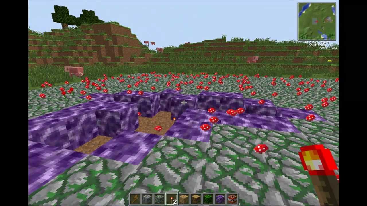 Minecraft Mod Spotlight: Bacteria Mod - YouTube