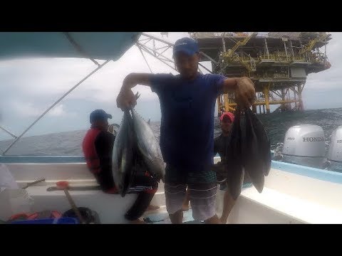OFFSHORE FISHING FOR BLACK FIN TUNA - Rig Fishing, Trinidad & Tobago ...