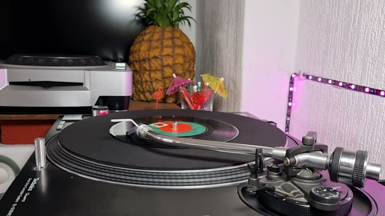 The Tweets - Birdie Song (Birdie Dance) - Valentine PRT - 1981 - 7 ...