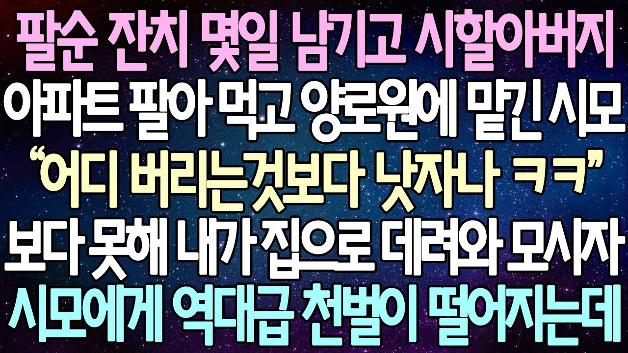 반전 사연 팔순 잔치 몇일 남기고 시할아버지 아파트 팔아 먹고 양로원에 맡긴 시모 보다 못해 내가 집으로 데려와 모시자