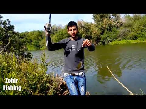 Memancing ikan ekor merah kecil di sungai