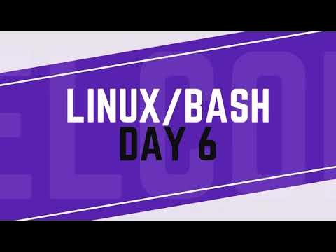 HackerRank | Linux Bash Day 6 | Text Processing | Cut #2 - YouTube
