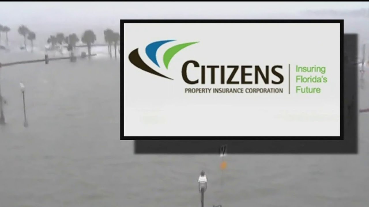 5 Florida companies working to take over nearly 200,000 policies from ...