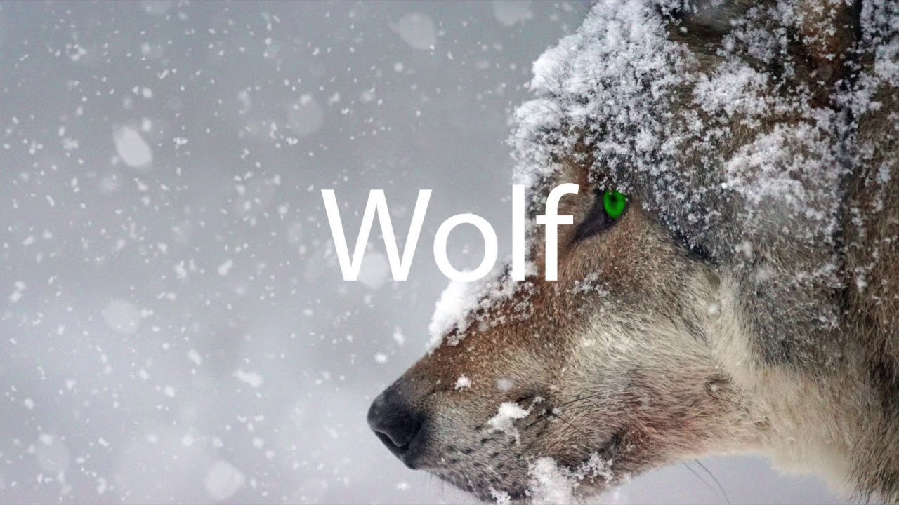 [FREE] Wolf - Hip-Hop Rap Beat Instrumental #111 (Prod. Labaneh B ...