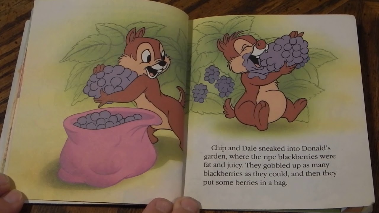 Disney's Chip and Dale's Book of Seasons Read Aloud For Kids - YouTube