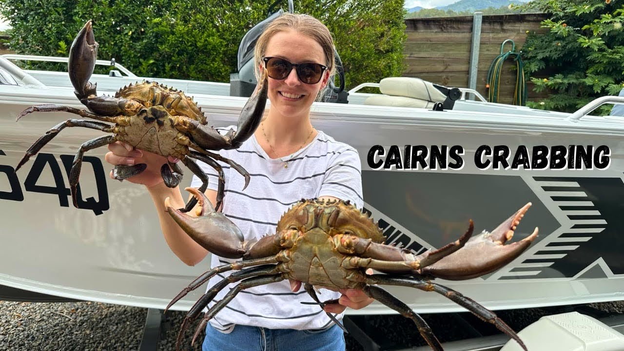 Big Winter Mud Crabs // Catch & Cook // Steamed Crabs - YouTube