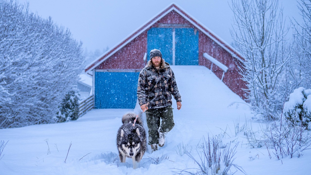 Quiet life on a farm up north 🇳🇴 - YouTube