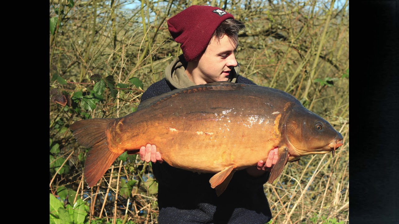 Zig Rig Madness ***Carp Fishing*** - YouTube
