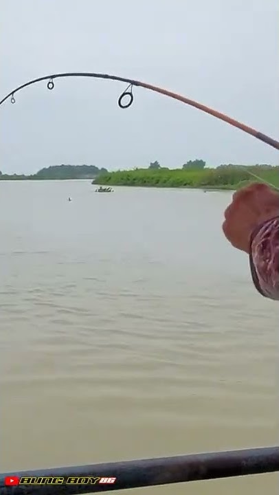 Mancing Kakap Putih muara || teknik dasaran - YouTube