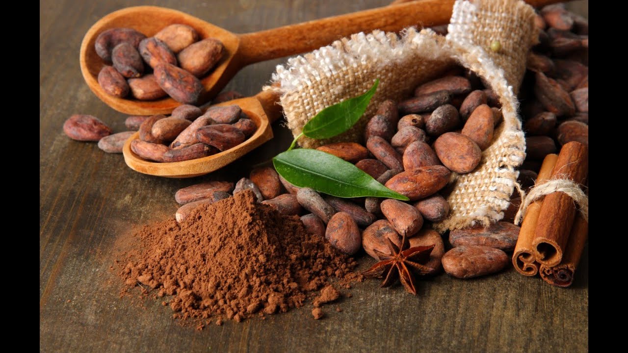 What Is The Truth About Cocoa? - YouTube