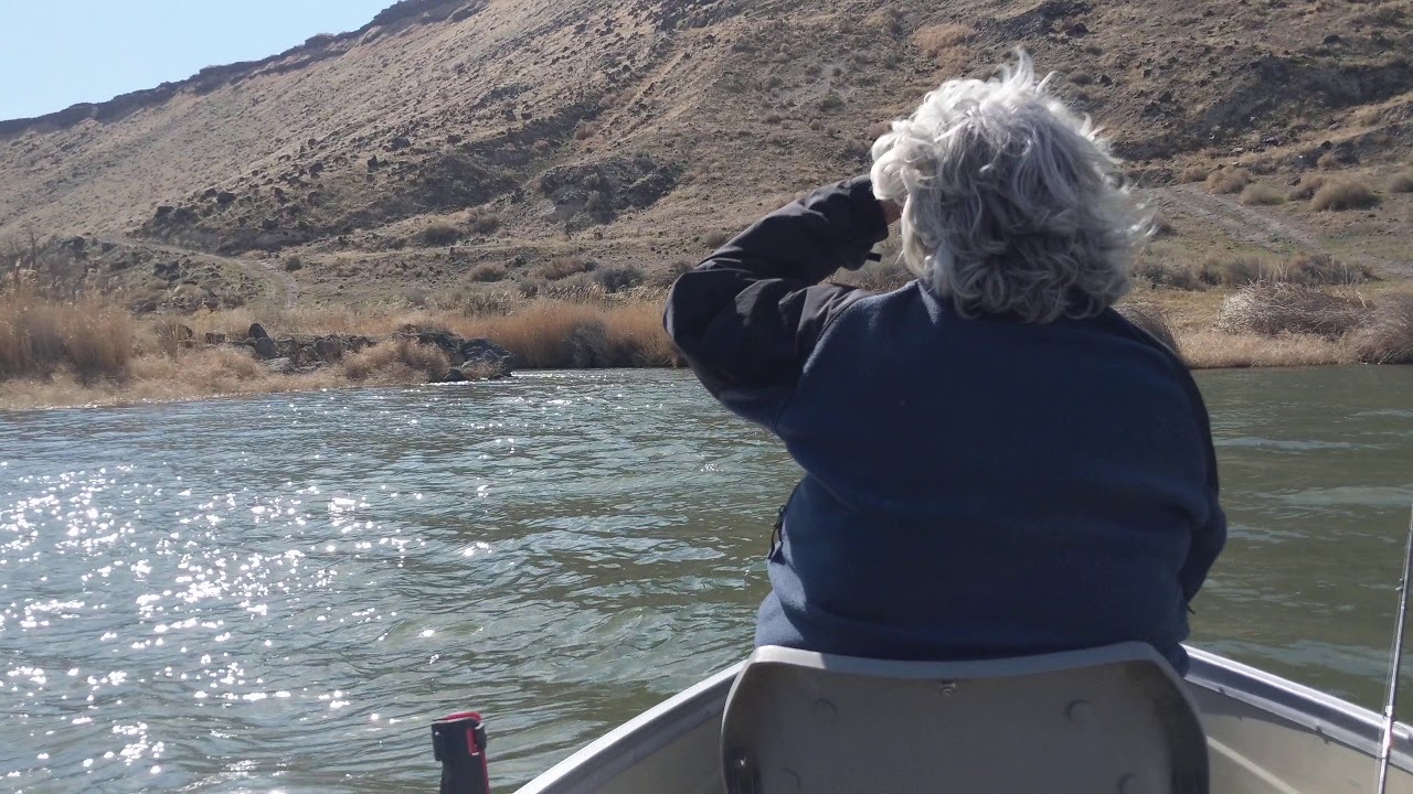 Entering Cove Arm lake from the Snake. March, 2020 - YouTube