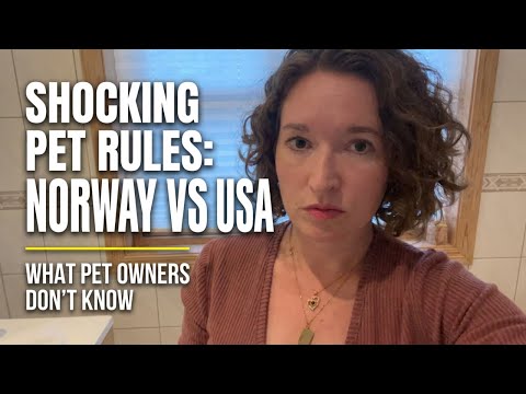 Norway vs USA: Why Dog Ownership Is So Different | Pet Culture Shock