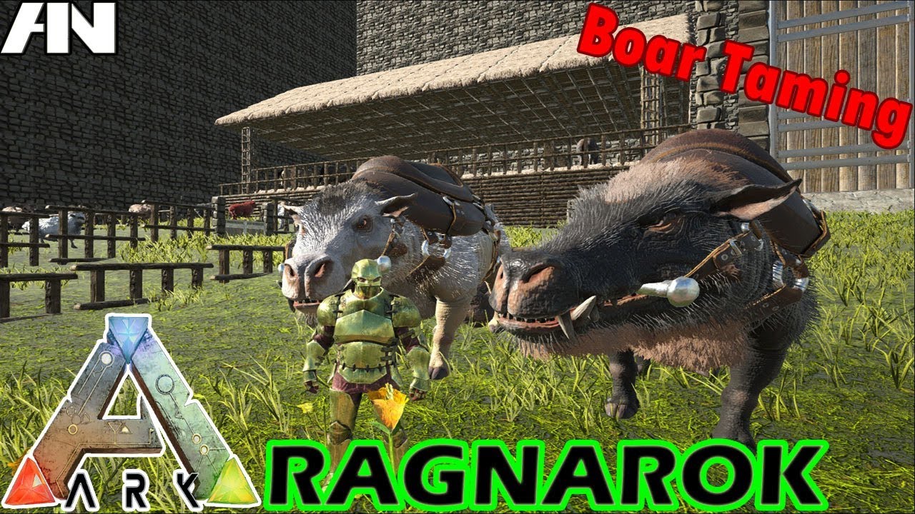 ARK: Survival Evolved (Ragnarok) - Boar Taming! - #34 - YouTube