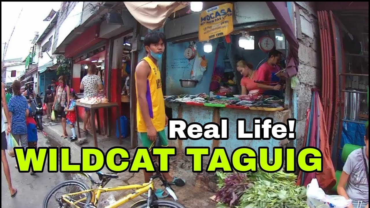 Barangay Pinagsama Village Wildcat Taguig City | Real Life! Short ...