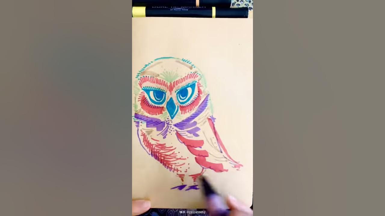 Owl drawing Time lapse 12.19.20 - YouTube