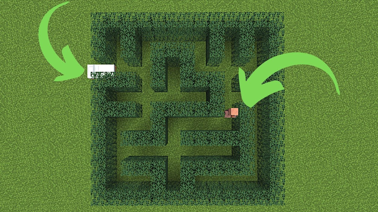 iq maze for villager - YouTube