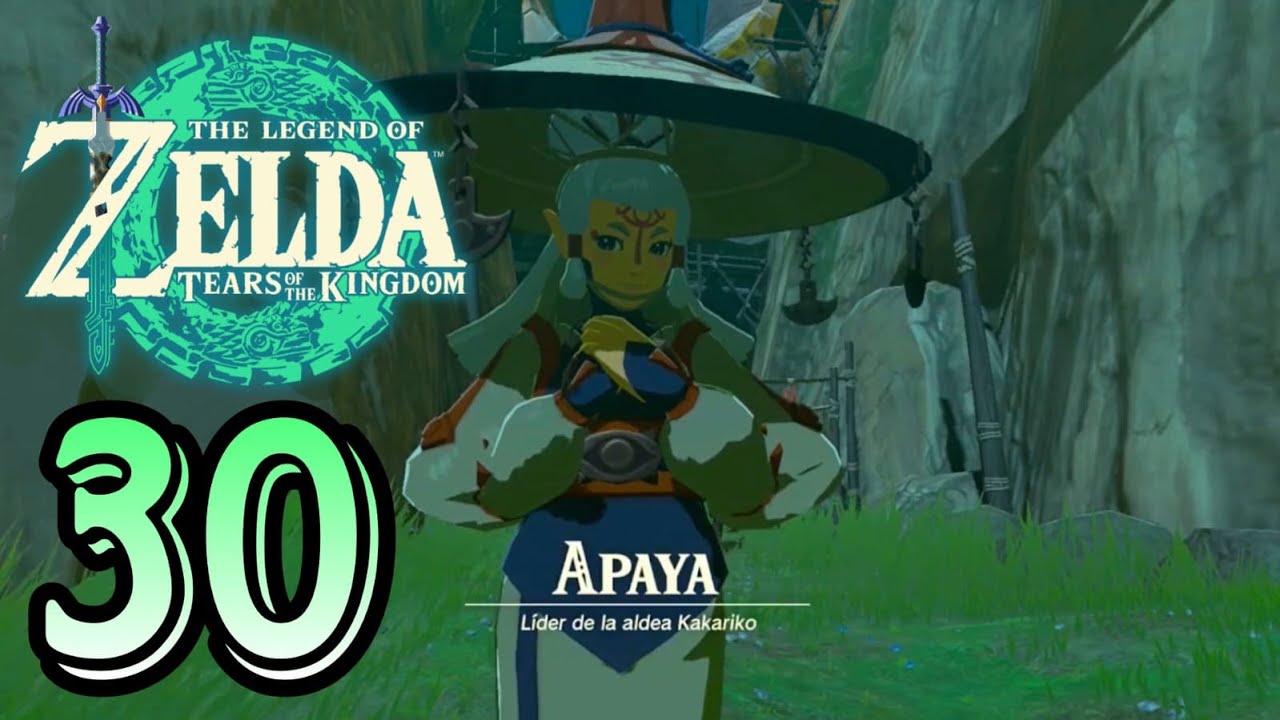 APAYA la líder de KAKARIKO - THE LEGEND OF ZELDA TEARS OF THE KINGDOM ...
