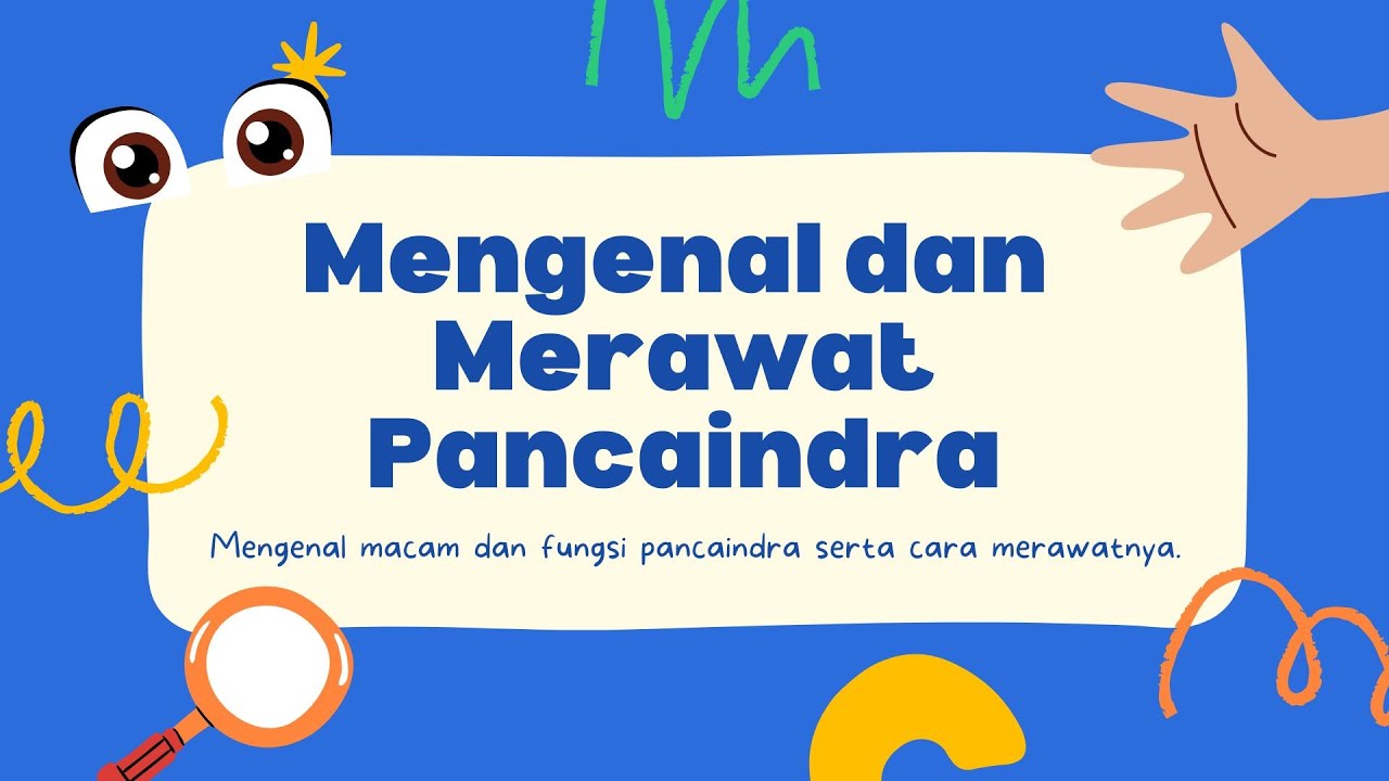 Panca Indera - Fungsi dan Cara Perawatannya #pancaindera #bagiantubuh # ...