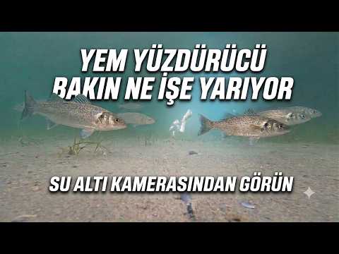 Yem Yüzdürücü Nasıl Kullanılmalı? Su Altı Kamerasıyla Balık Avı Yaparak Anlattım.