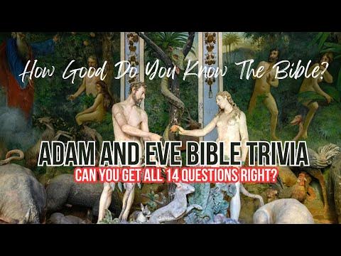 bible Quiz Genesis Chapters 1 thru 3| 14 QUESTIONS - YouTube