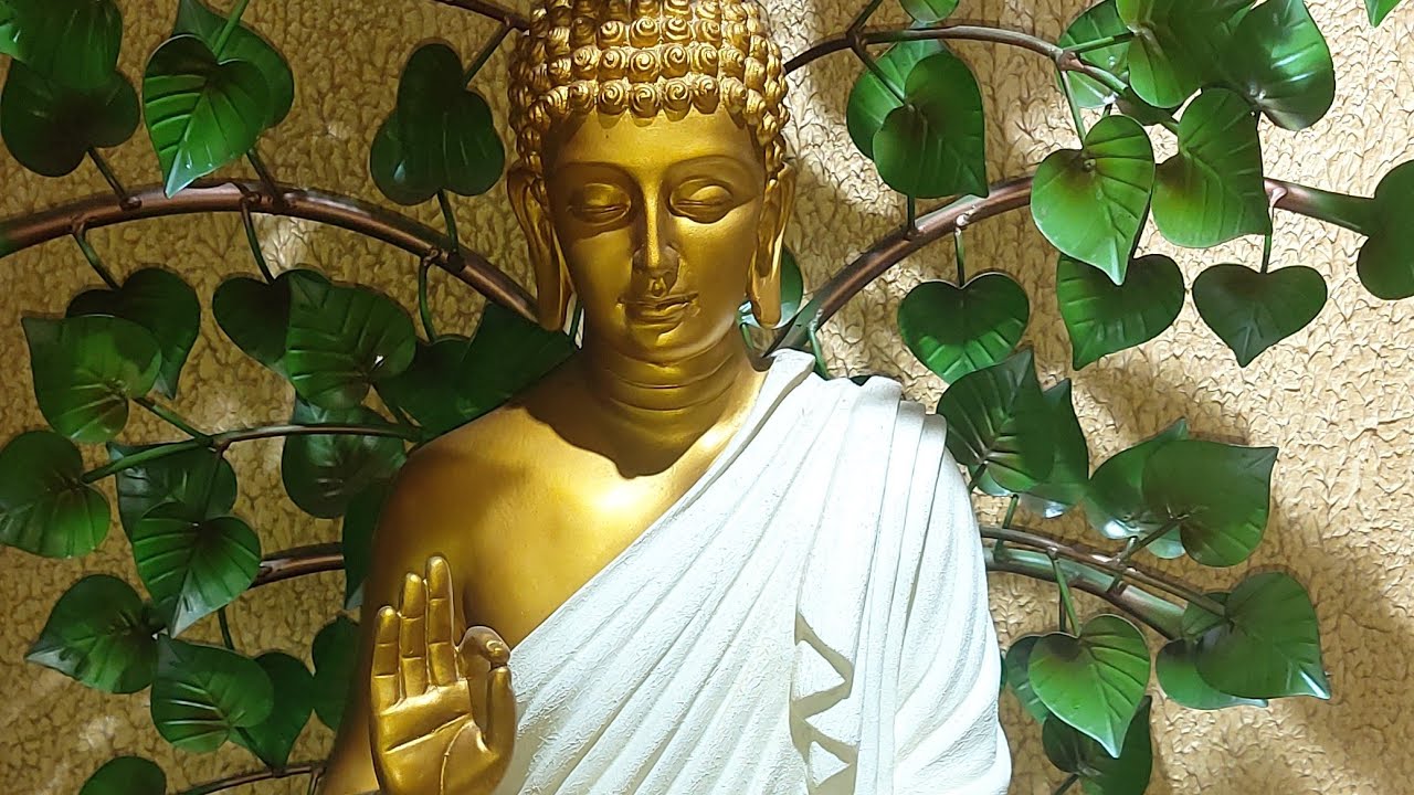 morning pt exercise - YouTube