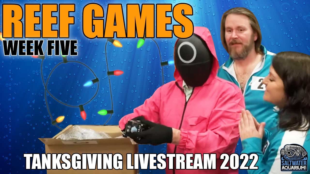 TANKSgiving Livestream 2022 REEF GAMES Week FIVE Replay! - YouTube