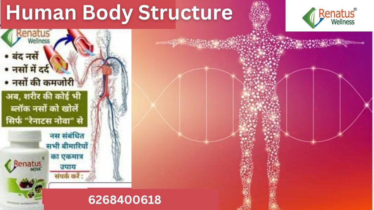 Human Body Structure & Body Management |Healthy life | Disease Free ...