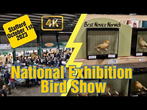 The National Exhibition Bird Show Stafford UK| October 1st 2023| My ...