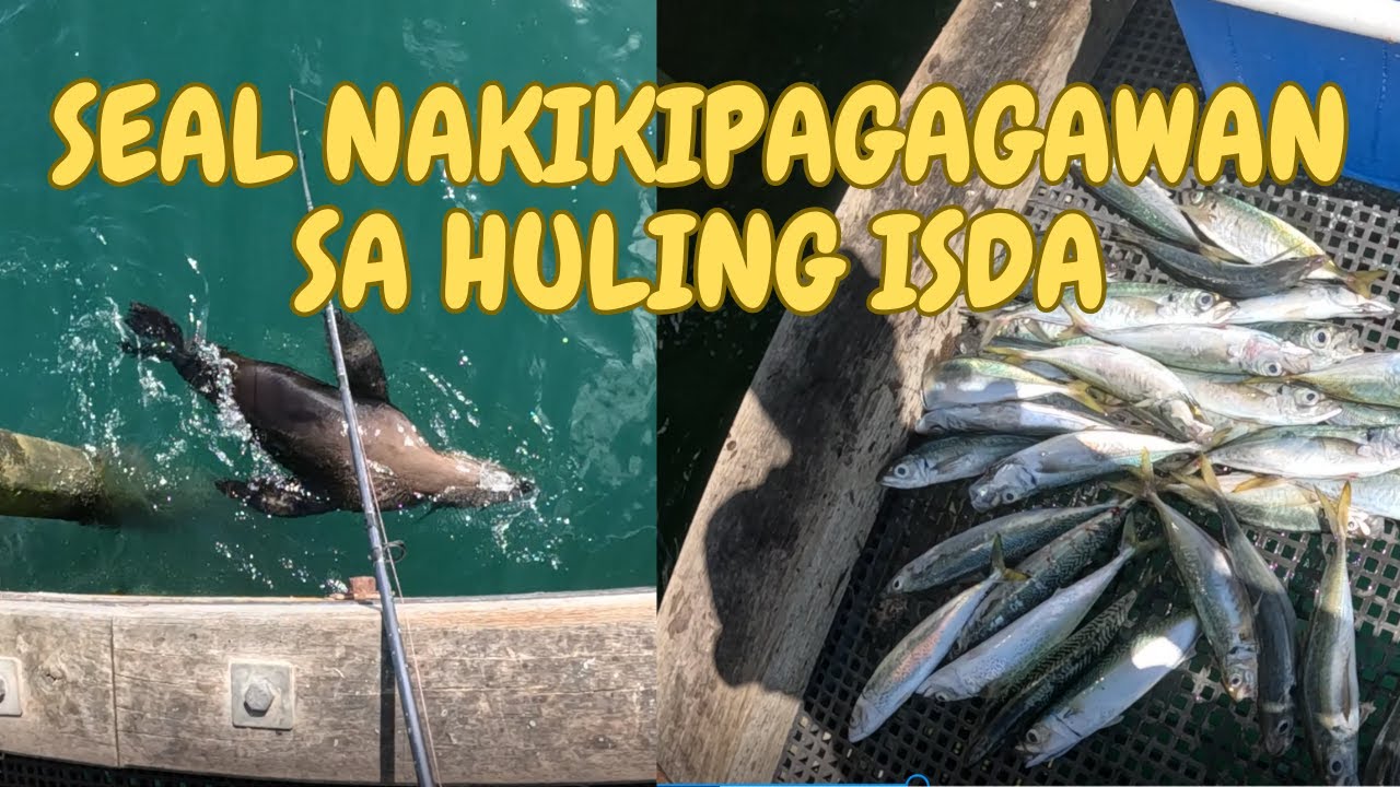 SEAL NAKIKIPAGAGAWAN SA HULING ISDA - YouTube