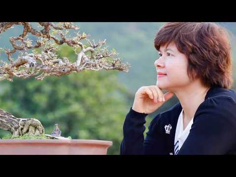 Woman loves bonsai tree