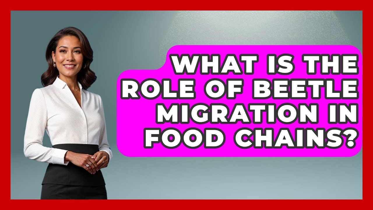 What Is The Role Of Beetle Migration In Food Chains? - Reptilian ...