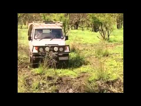 BBC Documentary 2015 || The Lions of Africa || Documentary HD