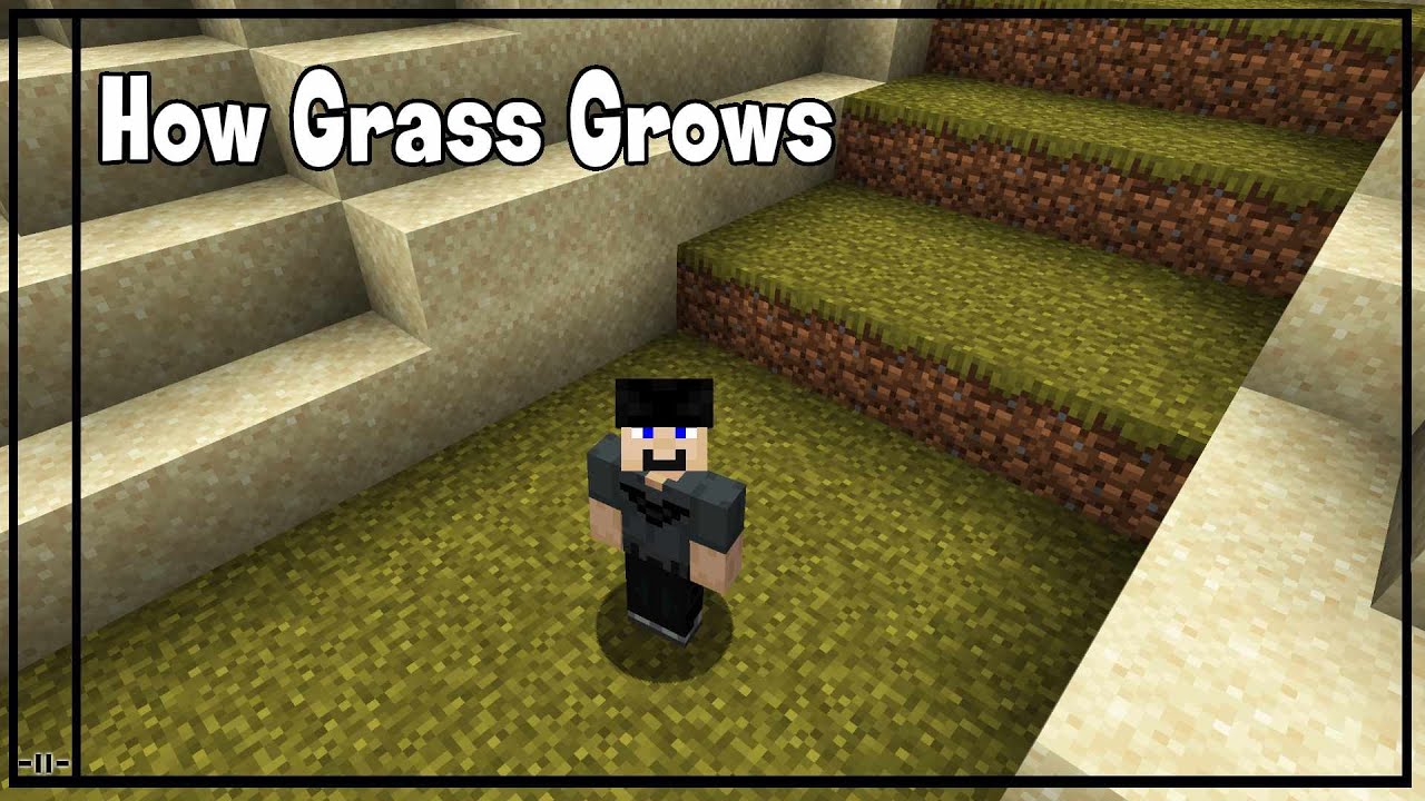 Minecraft 1.16: Grass growth tutorial - YouTube