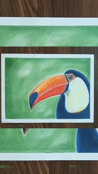 Toucan Soft Pastel Drawing|Toucan Bird Painting #shorts #youtubeshort ...