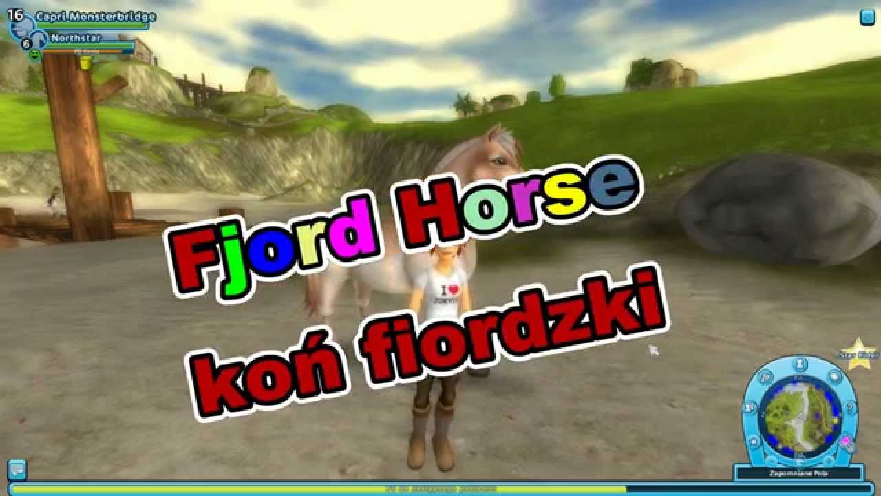 SSO koń fiordzki, fiord - Fjord Horse - YouTube